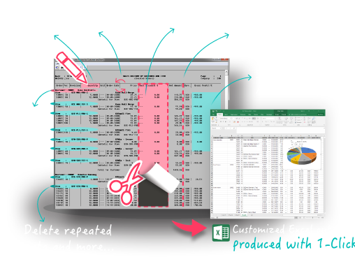 Excel Designer Convert Erp Reports Into Excel Sheets With Advanced 4709